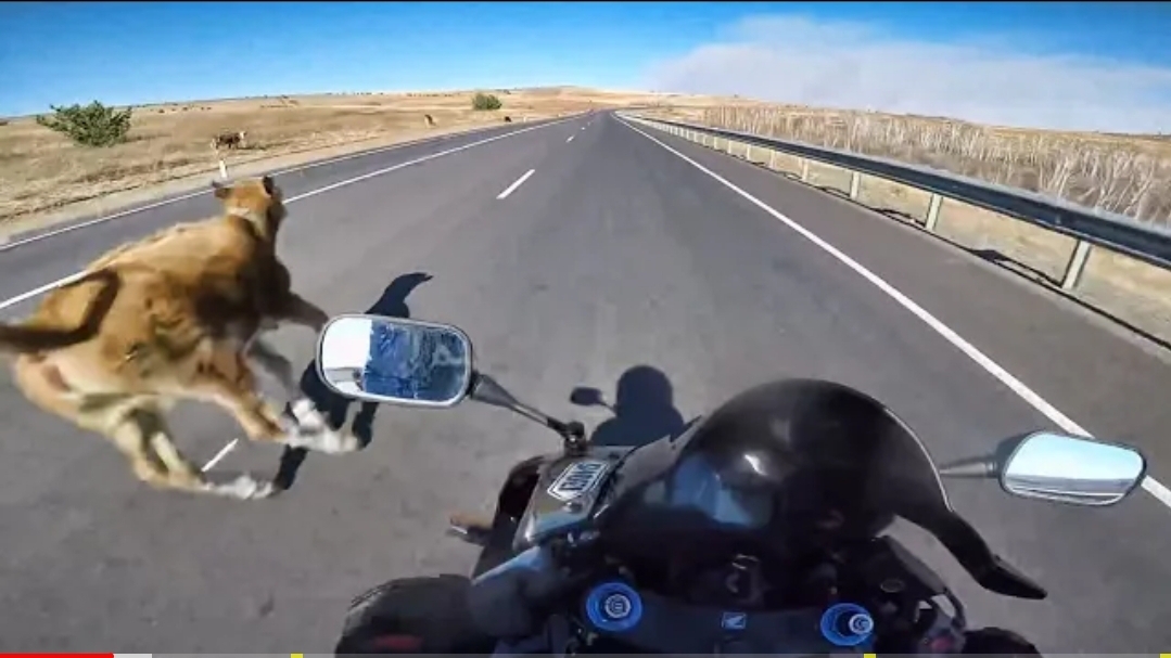 Near Miss & Close Calls Situations - Good Driving Skills or Luck?