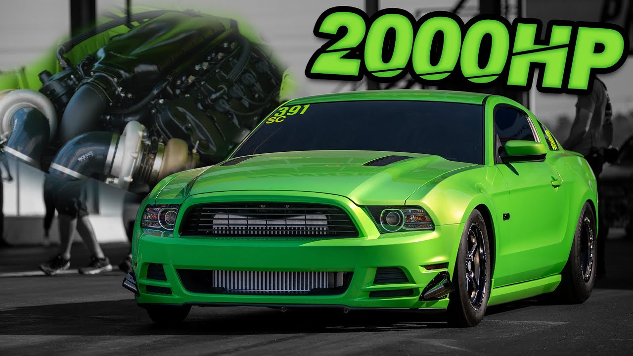 2000HP Coyote Beats EVERYONE - WINS $10,500! (BADDEST Street Driven ...